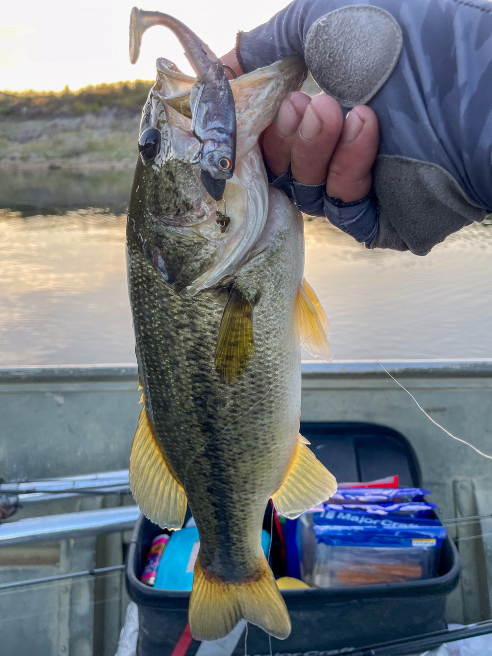 STABI SHAD – Major Craft America