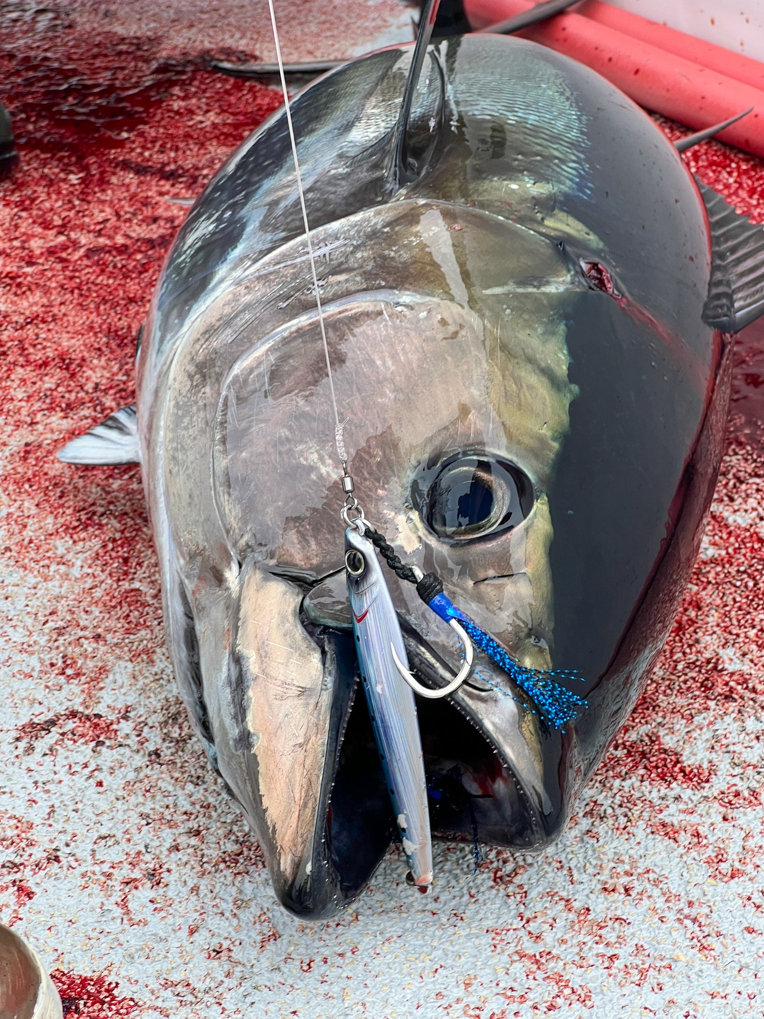 MajorCraft America – Major Craft America