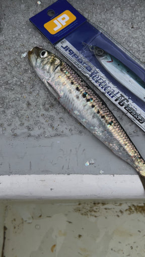 JIGPARA TUNGSTEN 100g-250g – Major Craft America